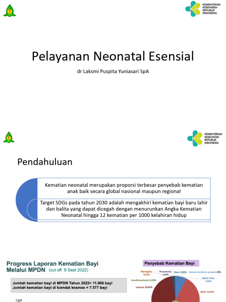 Pelayanan Neonatal Esensial | PDF