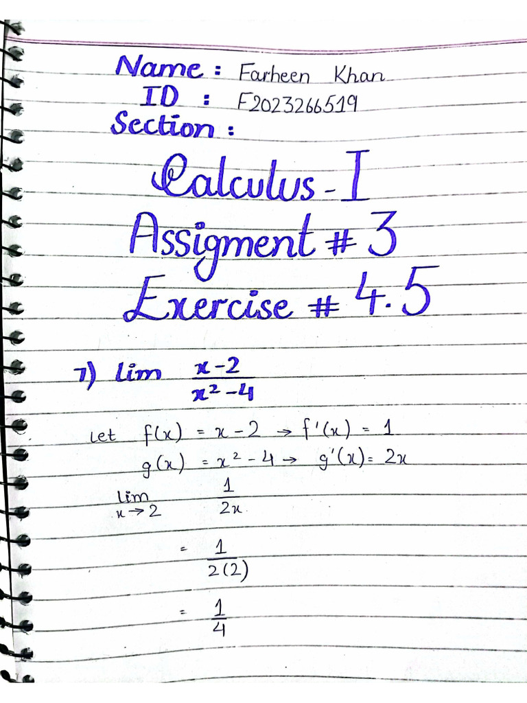 Calculus Assignment 3 | PDF