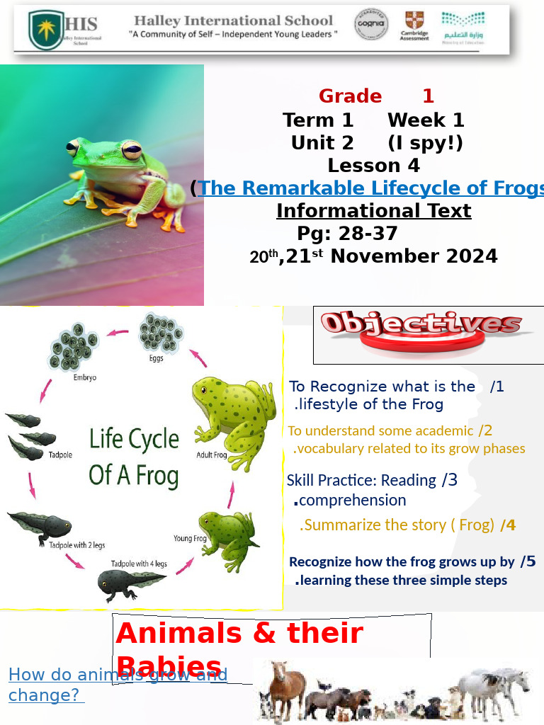 The Lifecycle-Of-Frogs G1 W1 U2, L4 | PDF