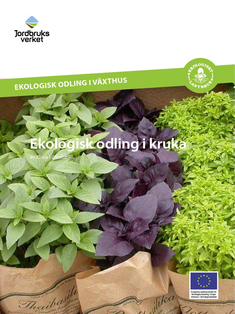 Ekologisk Odling I Kruka | PDF