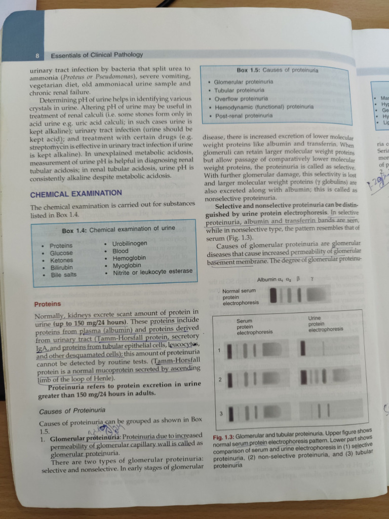 Urine Chemical Examination | PDF