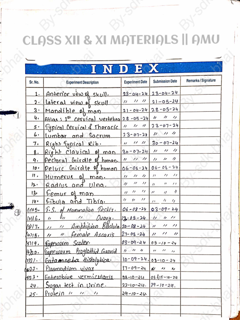 Zoology Lab Work Bones | PDF
