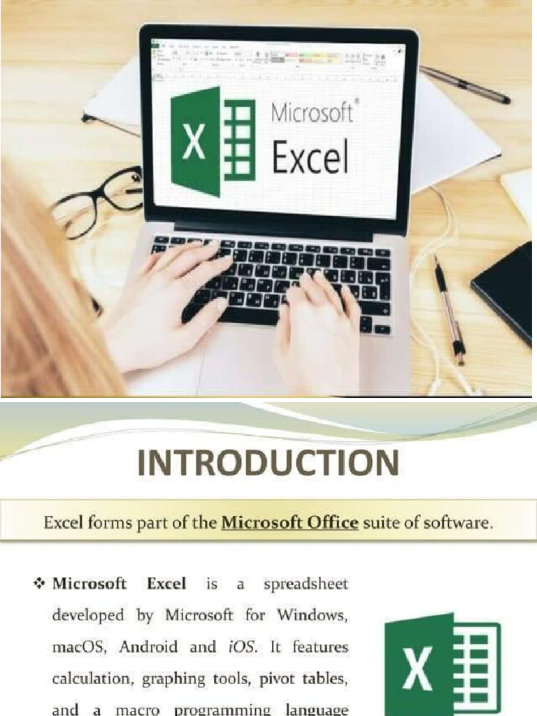 EXCEL | PDF