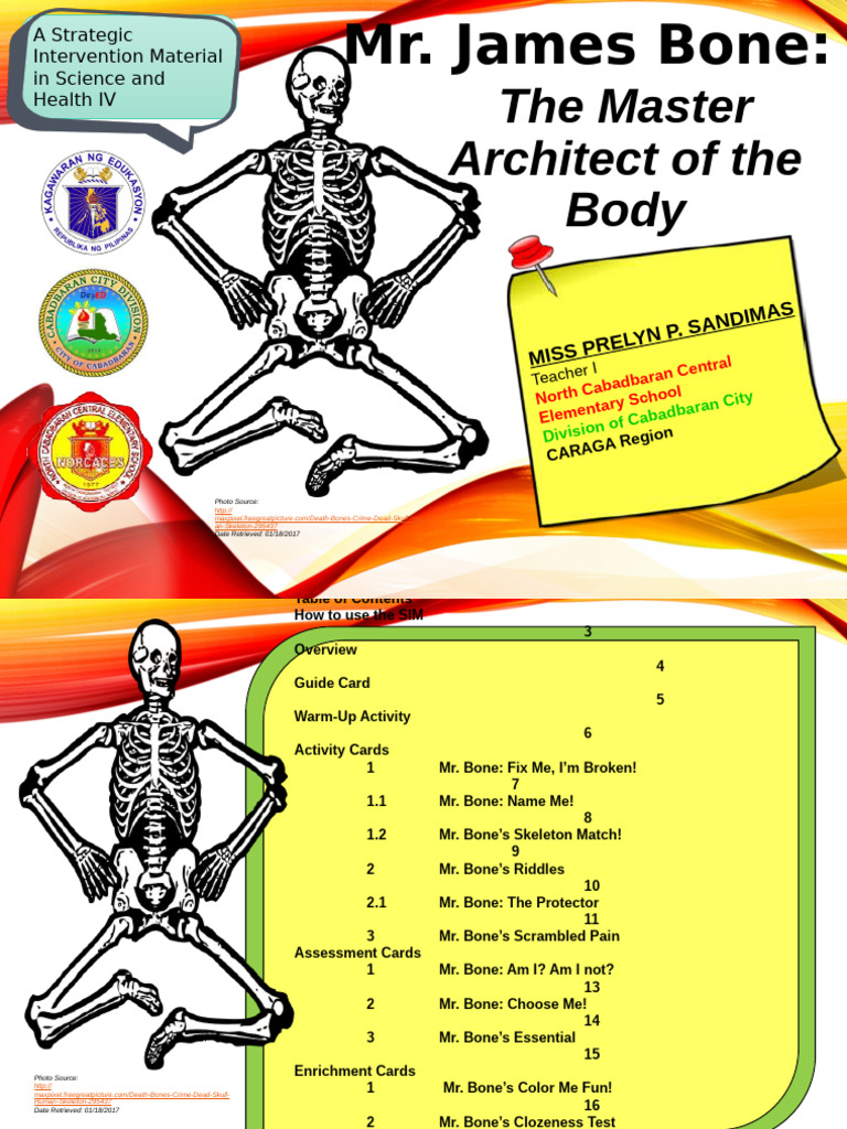 Science Fun with Mr. Bone | PDF | Bone | Skeleton
