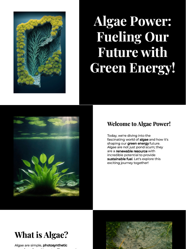 Wepik Algae Power Fueling Our Future With Green Energy 20241006162232ox0b | PDF | Science ...