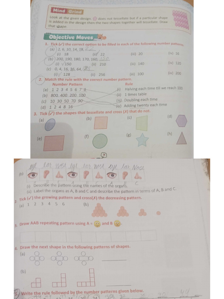 Samar PDF Maths | PDF
