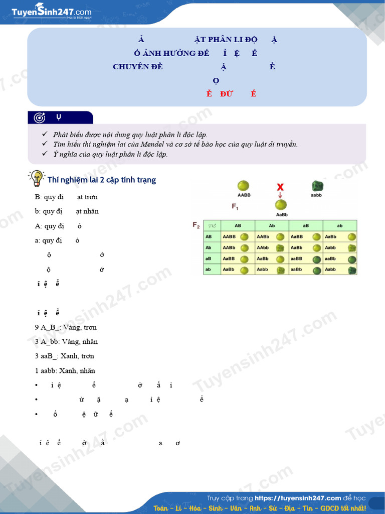 Quy Luat Phan Li Doc Lap Va Nhung Nhan To Anh Huong Den Ti Le Kieu Hinh Mendel 1729223706 | PDF