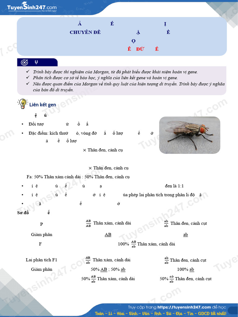 Lien Ket Gene Va Hoan VI Gene 1729906051 | PDF