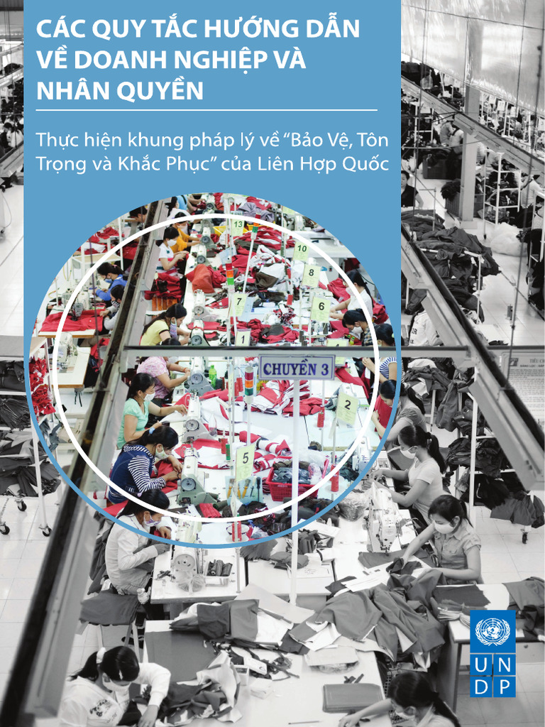 UNGP (UNDP Viet Nam) | PDF