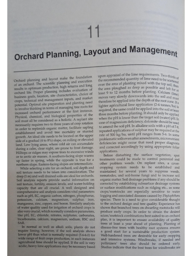 Orchard Planning Chapter | PDF