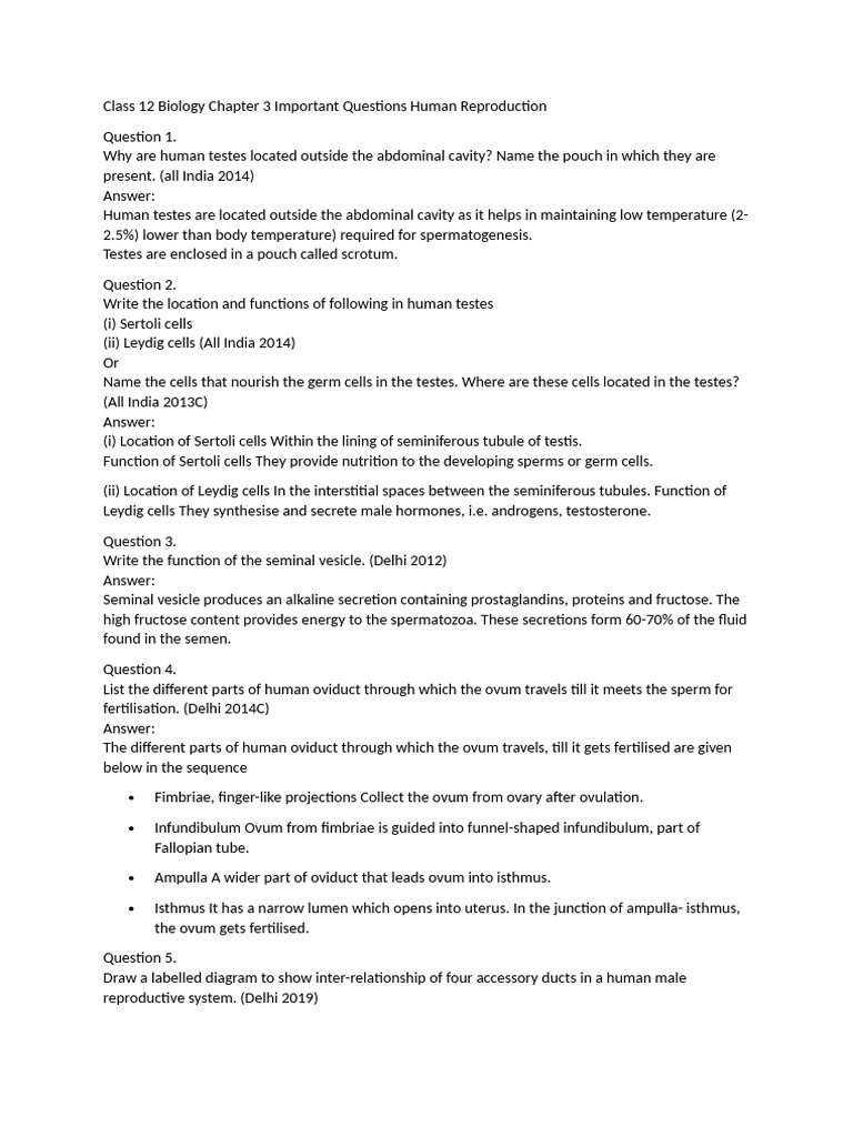 Class 12 Biology Chapter 3 Important Questions Human Reproduction | PDF ...