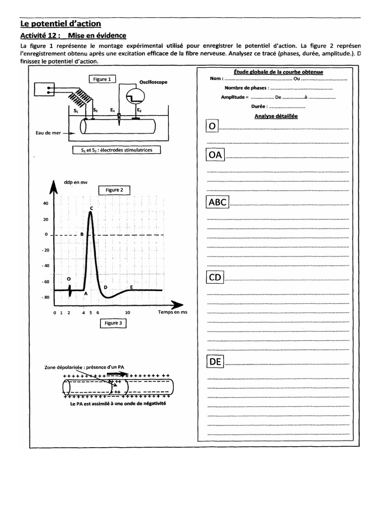 Exercice 1 | PDF | Sciences et mathématiques