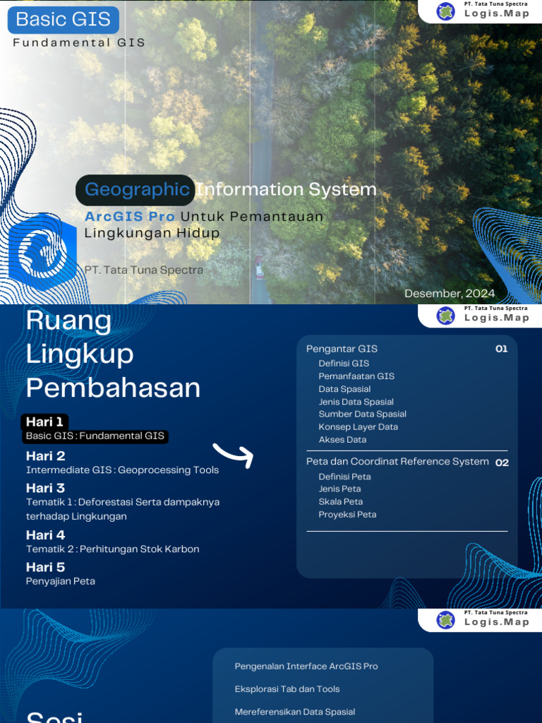 ArcGIS Pro - Environment - Basic GIS | PDF