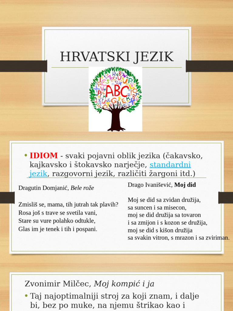 Hrvatski Jezik | PDF