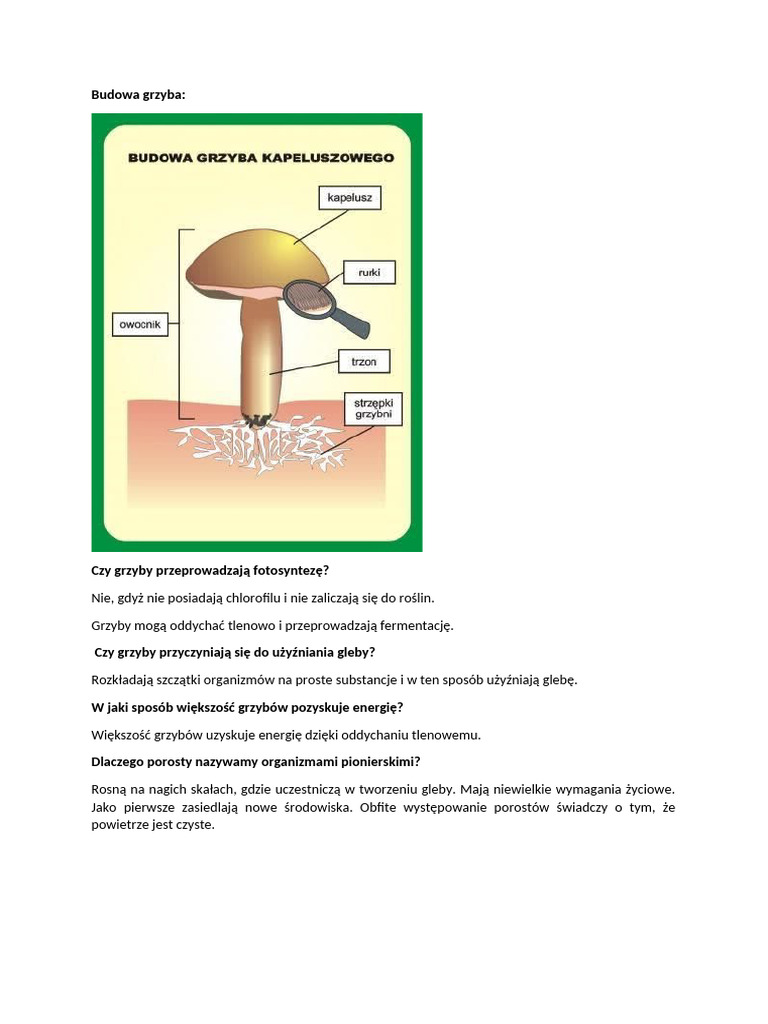 Bilogia Budowa Grzyba | PDF