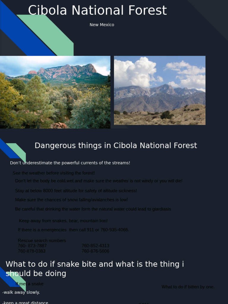 Cibola National Forest | PDF | Lion