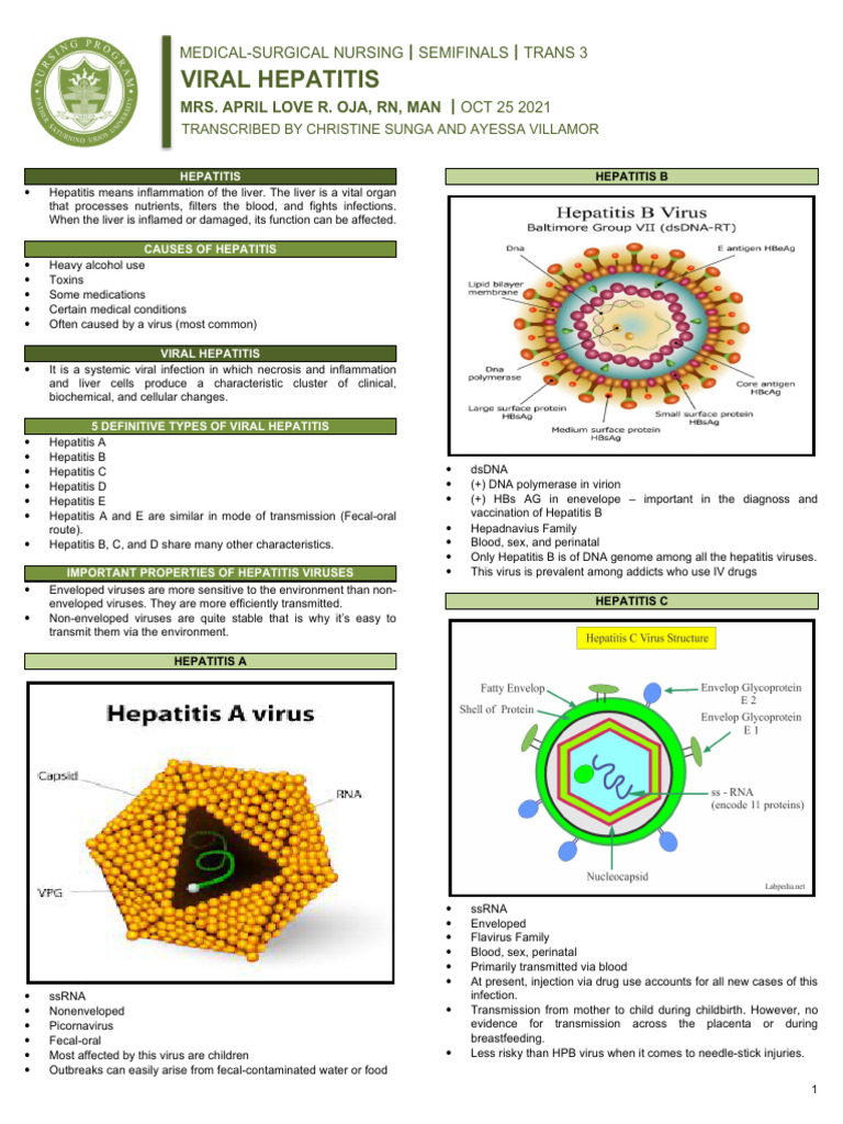 Overview of Viral Hepatitis Types | PDF | Hepatitis | Hepatitis B