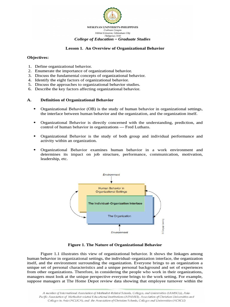 Overview of Organizational Behavior | PDF | Organizational Behavior ...