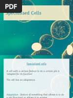 Specialised Animal Cells - Living Organisms - KS3 Biology - BBC ...