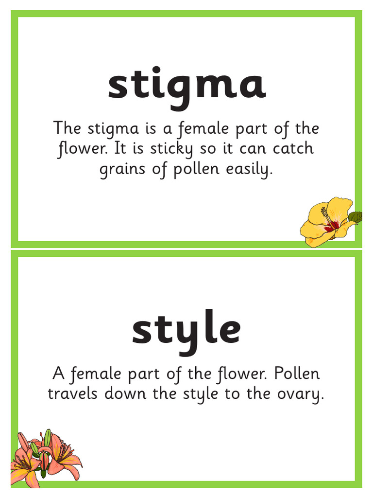 Parts of A Flower Information Cards | PDF