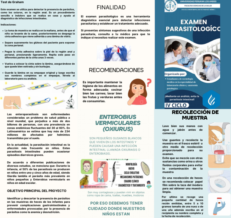 Triptico Final | PDF | Heces | Epidemiología