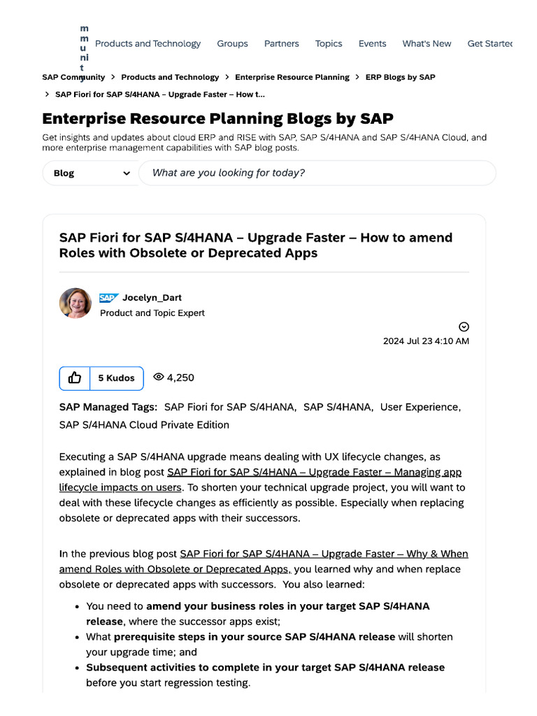 SAP Fiori For SAP S4HANA - Upgrade Faster - How To Amend Roles With Obsolete or Deprecated Apps ...