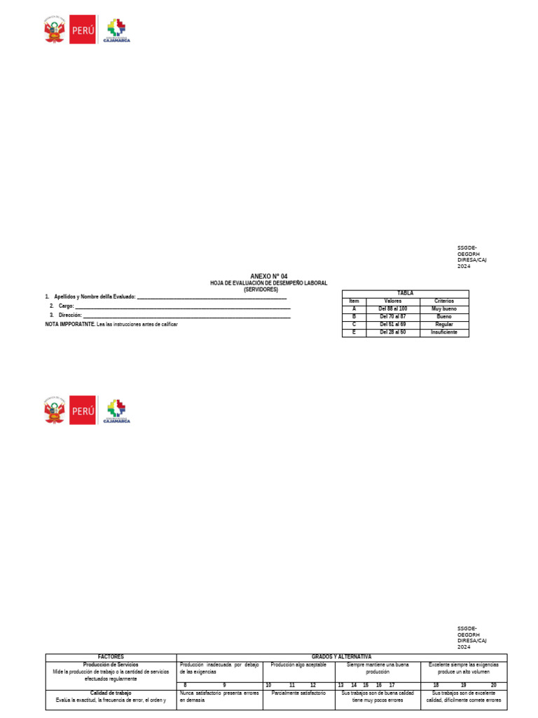 Anexo N 04 Hoja de Evaluación de Desempeño Laboral | PDF