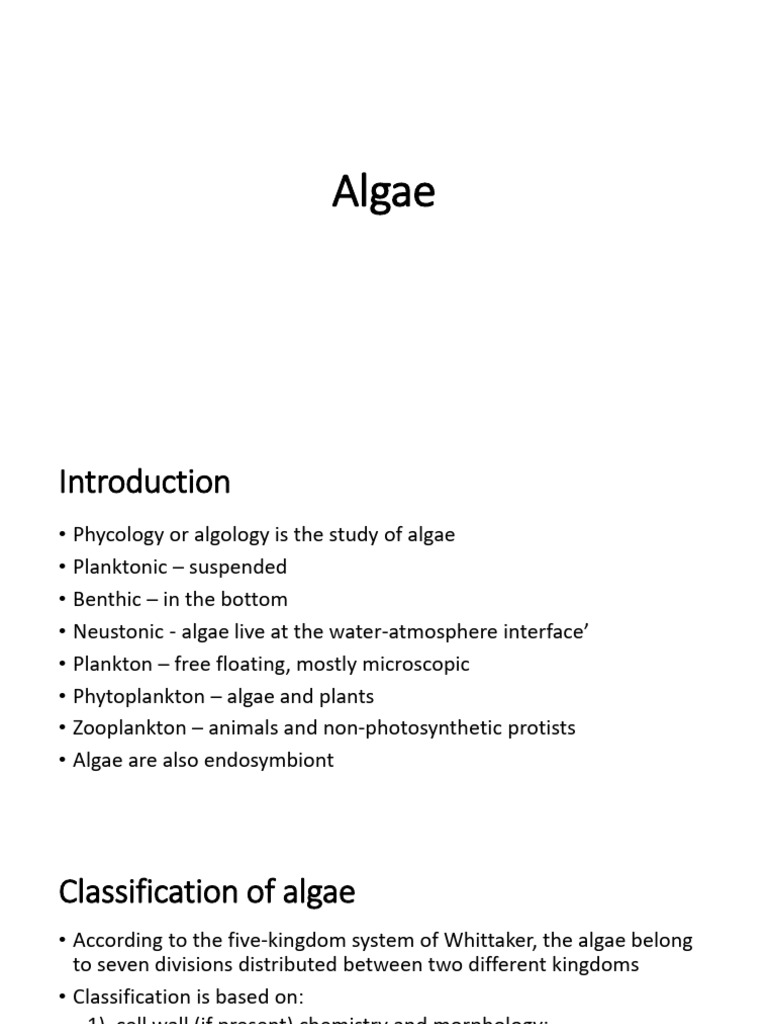 Algae | PDF | Fungus | Algae