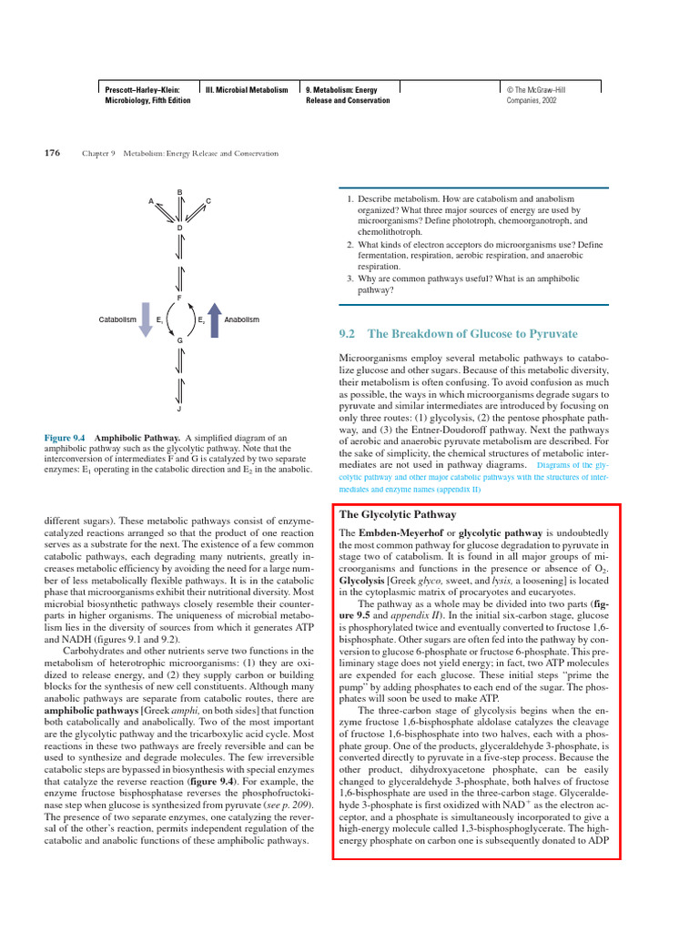 EMP Pathway | PDF | Glycolysis | Metabolic Pathway