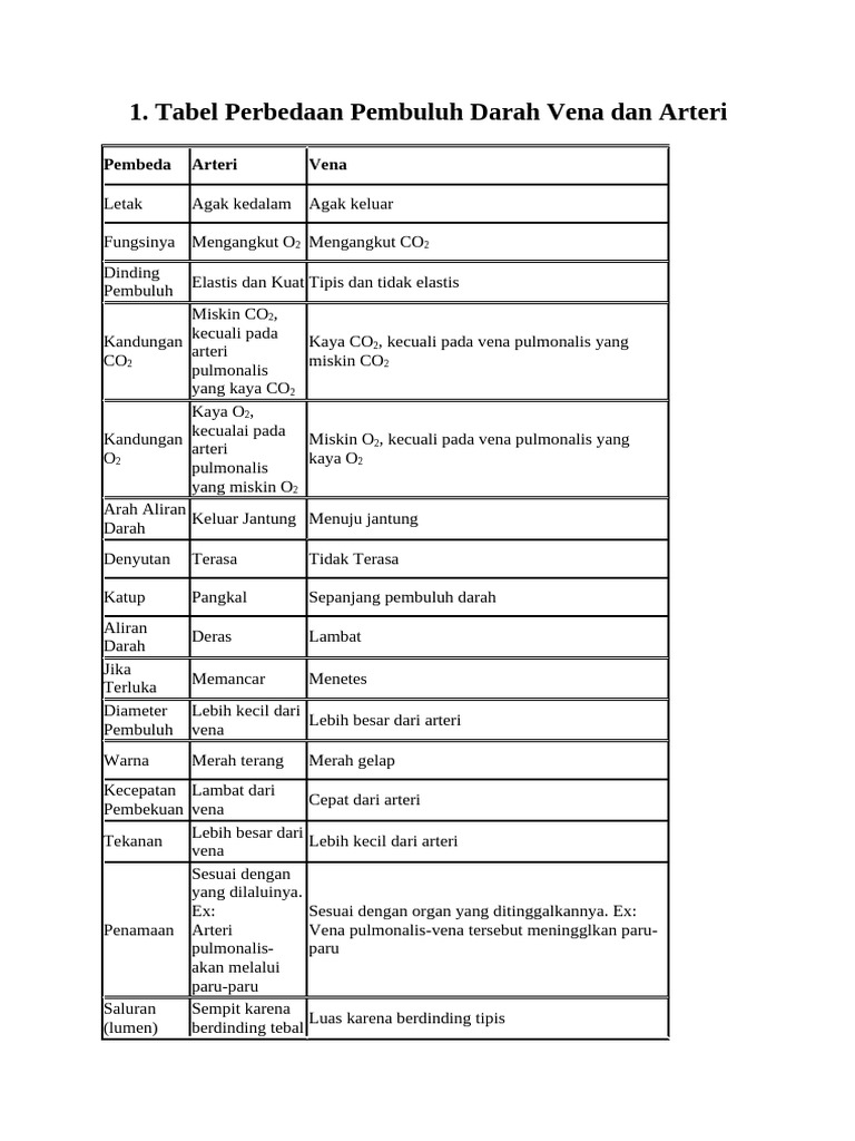 Tabel Perbedaan Pembuluh Darah Vena Dan Arteri | PDF