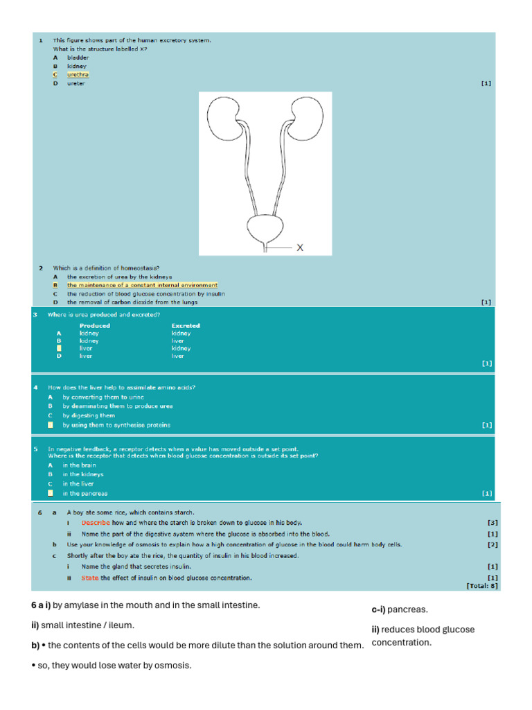 Chapter 13 (Excretion in Humans) Exam Style QnA | PDF