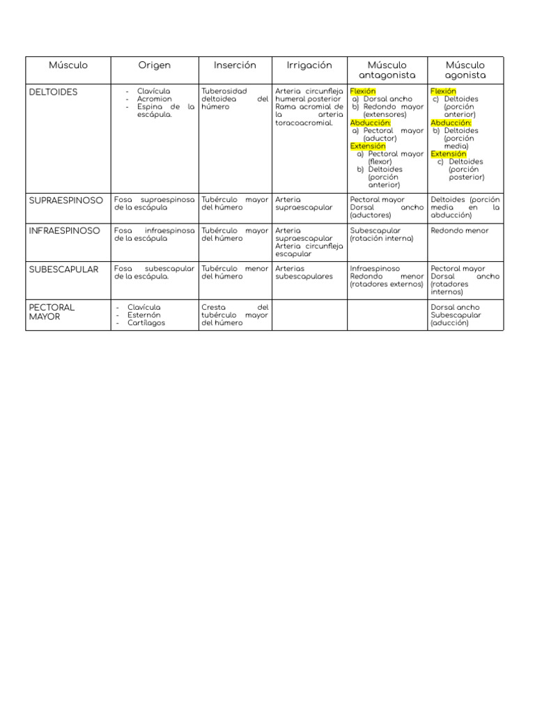 Articulación Glenohumeral | PDF | Tejido suave | Articulaciones
