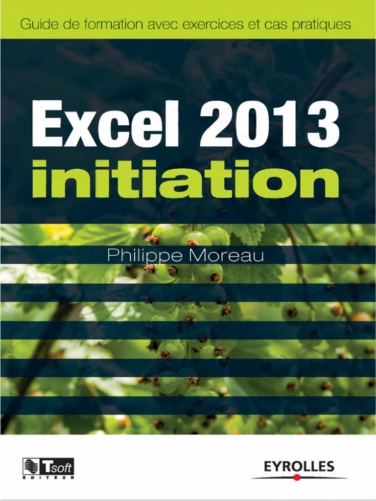Excel 2013 Initiation Guide de Formation Avec Exercices Et Cas Pratiques (PDFDrive) | PDF