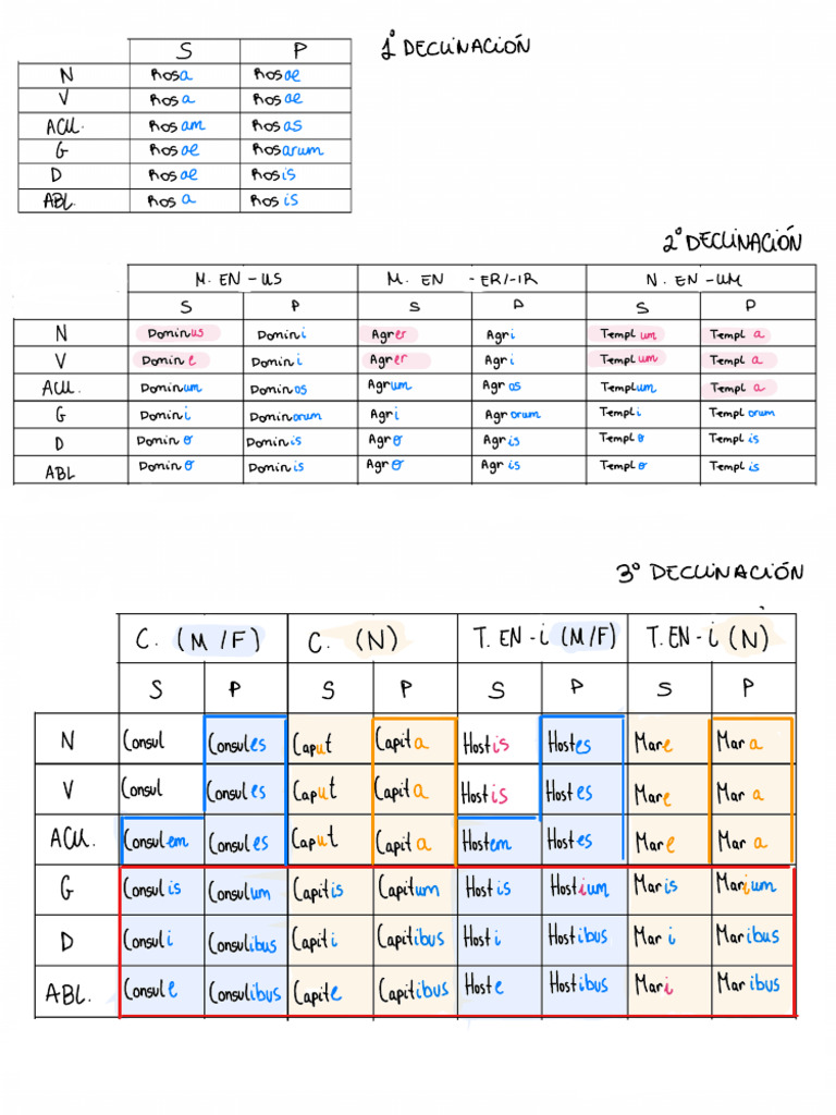 Declinaciones Latin | PDF
