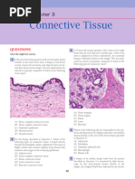 Animal Tissue NCERT | PDF | Epithelium | Connective Tissue