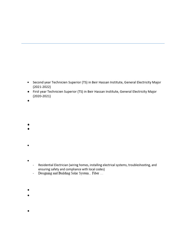 Fidaa Rafeh CV | PDF | Business | Computers