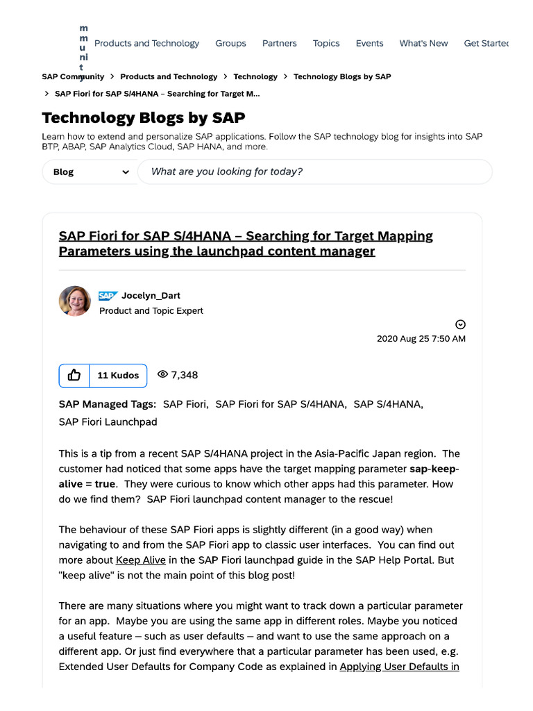 Sap Fiori For Sap S4hana Searching For Target Mapping Parameters Using The Launchpad Content