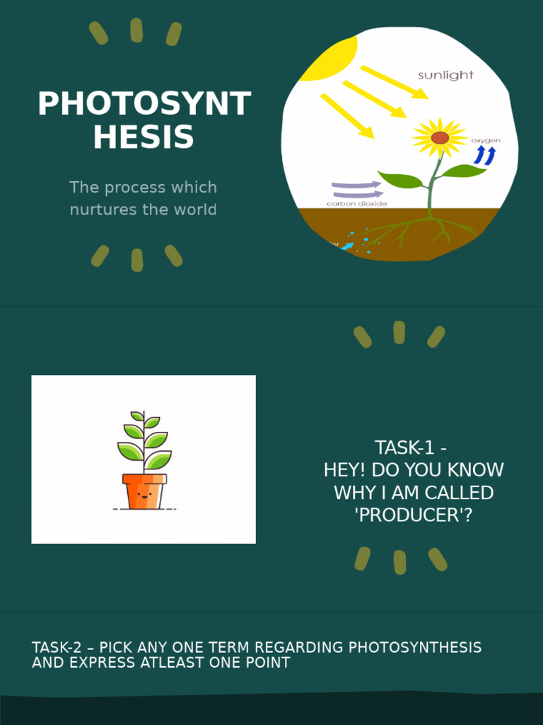 Photosynthesis | PDF | Photosynthesis | Leaf Photosynthesis | PDF | Photosynthesis | Leaf