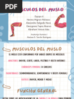 Glúteo Mayor - Origen, Inserción, Inervación, Función - Kenhub | PDF ...