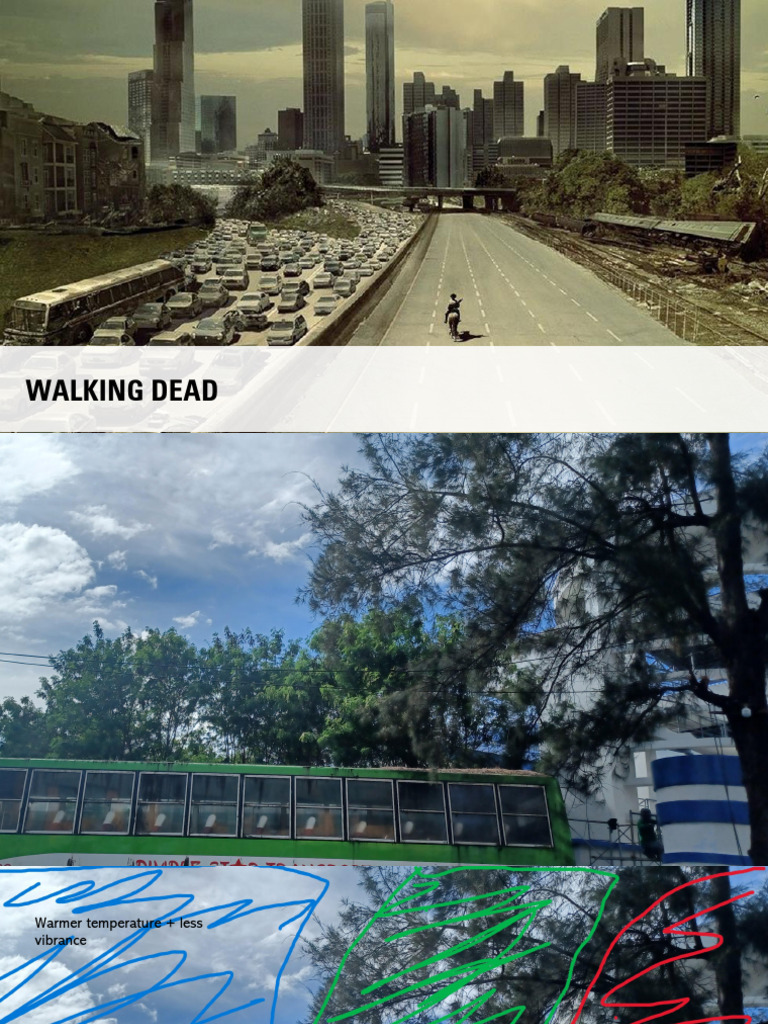 RAFAEL - Photo Editing Fundamentals and Editing Workflow Activity | PDF ...