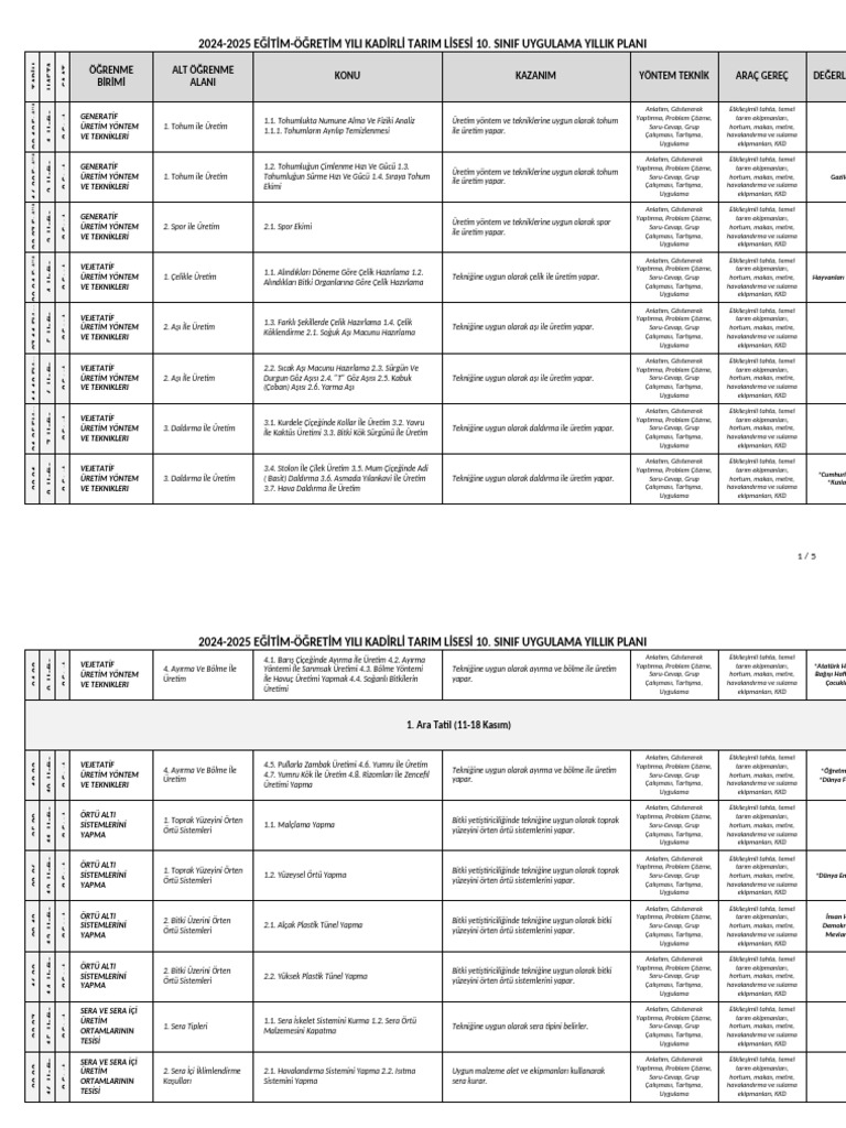 10 Sinif Uygulama Yillik Plan | PDF