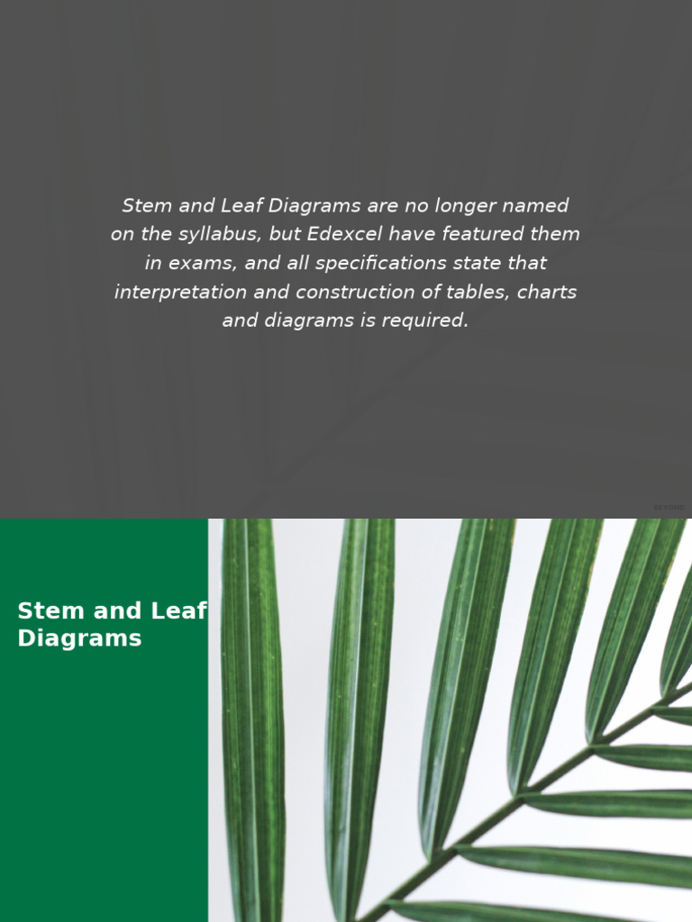 Stem and Leaf Diagrams | PDF | Mean