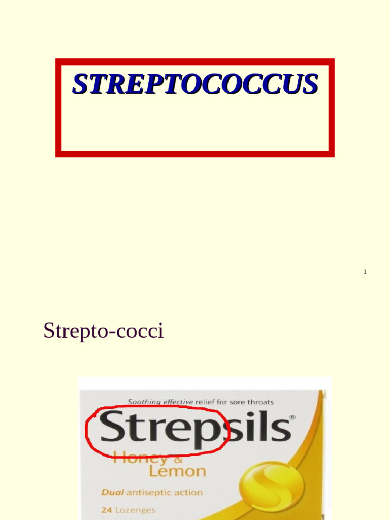 Strept SF | PDF | Streptococcus | Infection