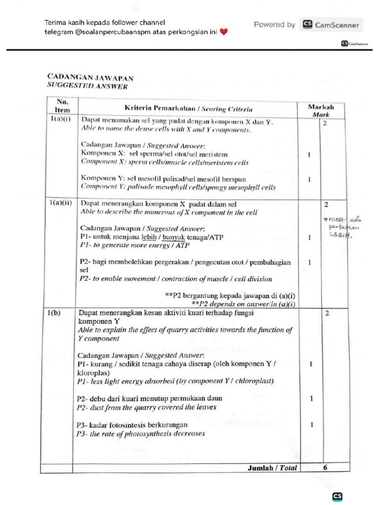 Jawapan Bio t4 Bab 2 | PDF