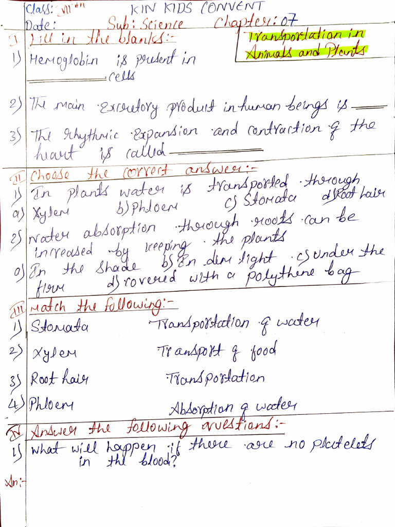 Adobe Scan 18 Nov 2024 | PDF