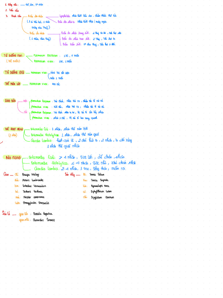 Kst-th | PDF | Mycology | Fungus