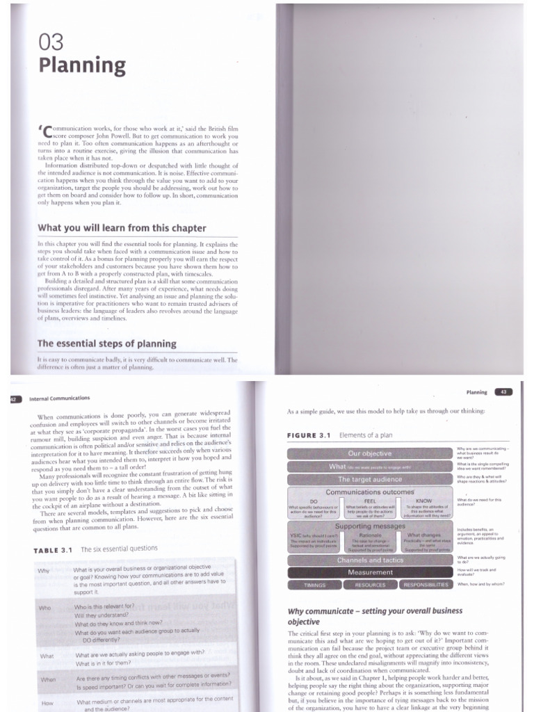 Communication Campaign Planning | PDF