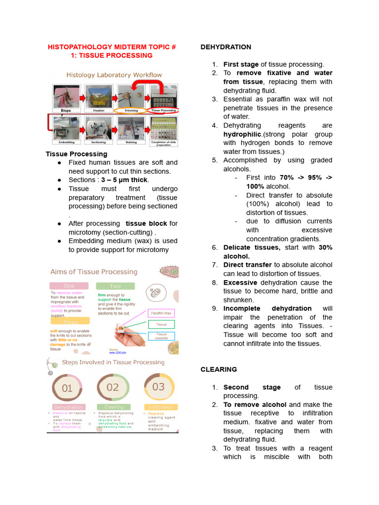 Histopath Midterm Reviewer | PDF | Fixation (Histology)