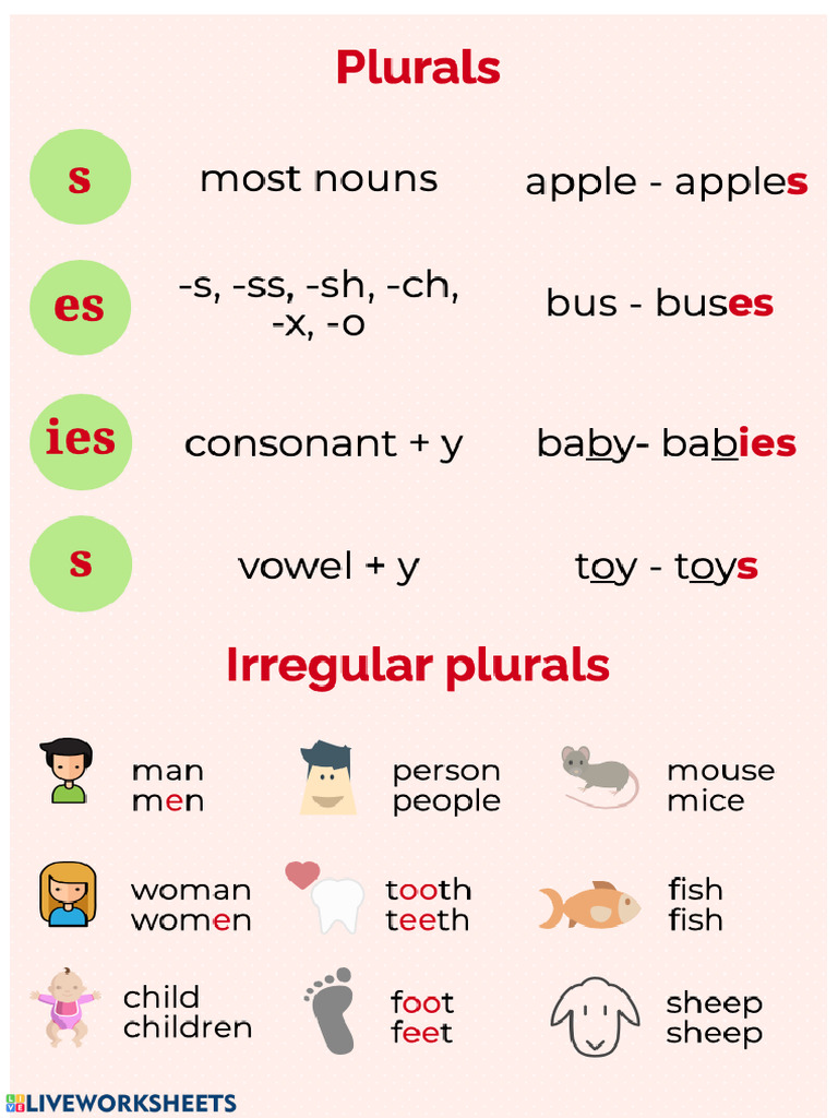 Plurals | PDF