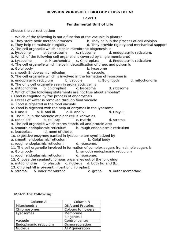 Revision Worksheet Biology Class Ix | PDF | Endoplasmic Reticulum | Vacuole